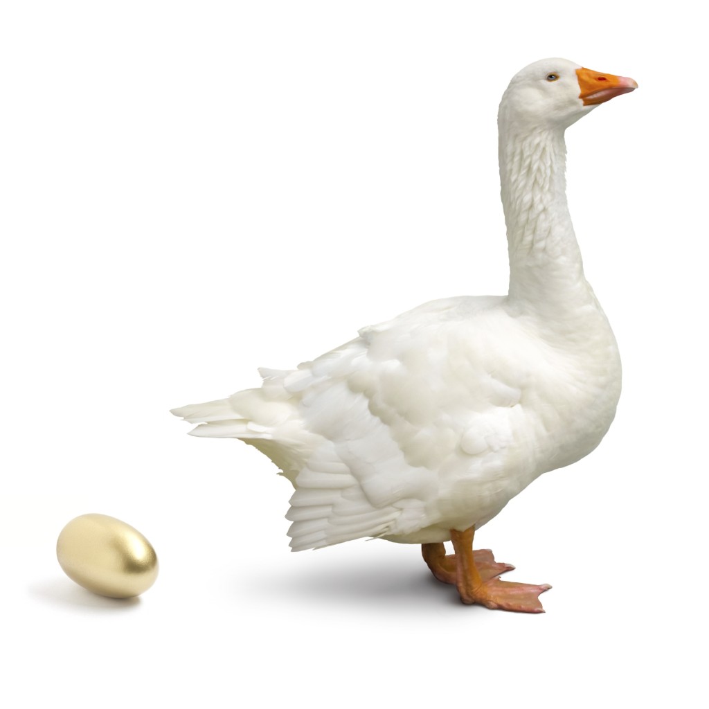 Goose Golden Egg Financial Planning Singapore The Financial Coach